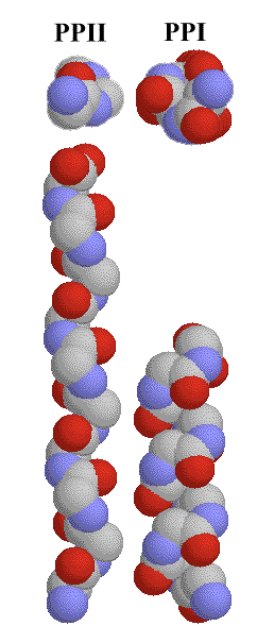Biomimicry Within Bowdoin: The Ongoing Development of Peptoids